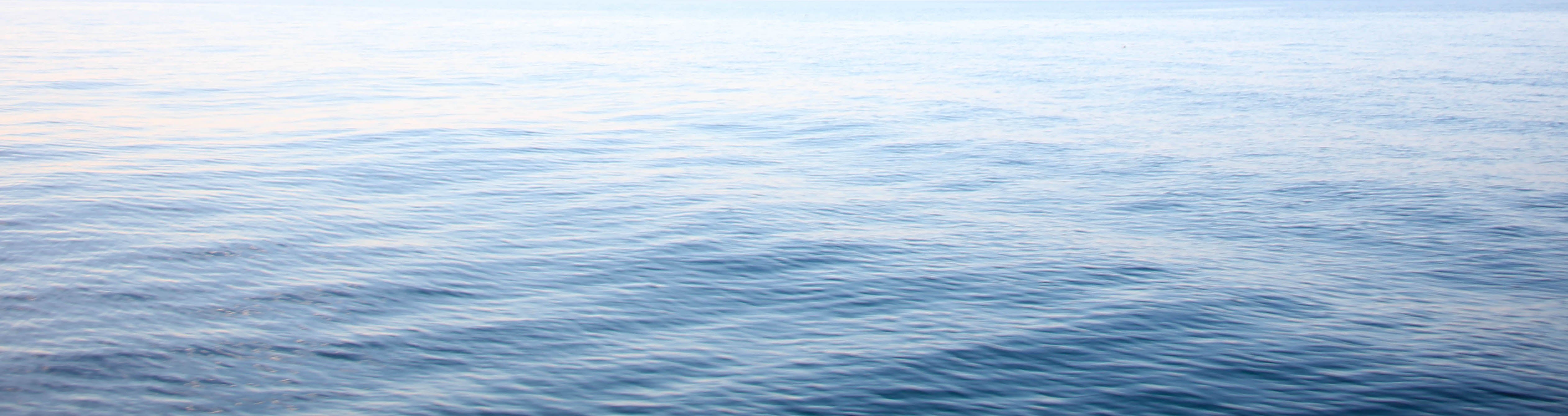 Freshwater Initiative – Great Lakes